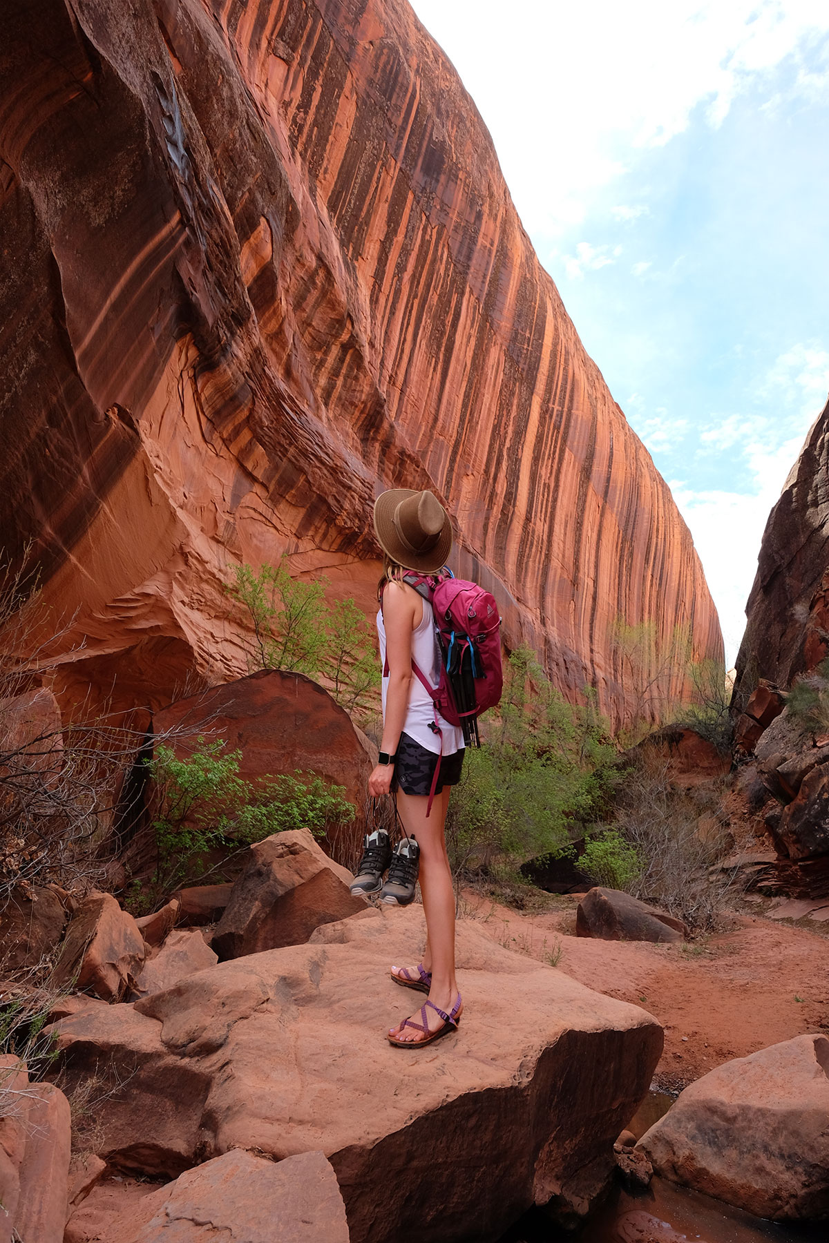 Hiking Golden Cathedral – jesslikestohikedotcom